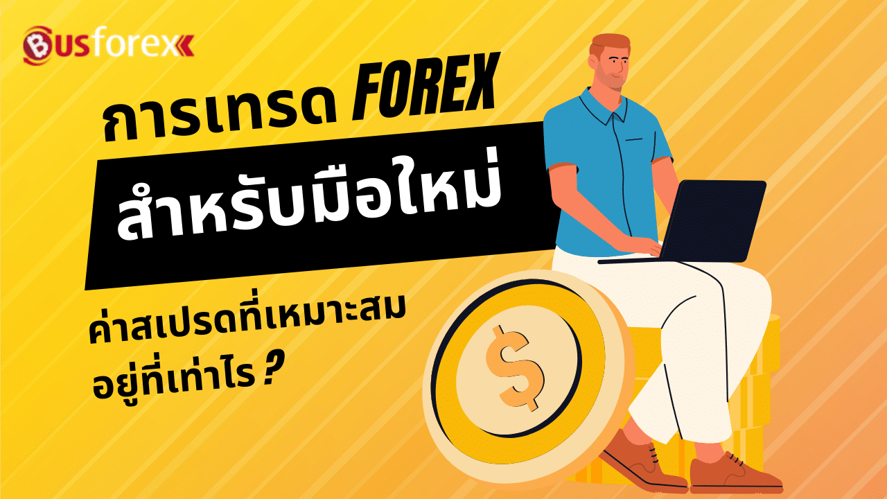 การเทรด Forex สําหรับมือใหม่ ค่าสเปรดที่เหมาะสม อยู่ที่เท่าไร? - Busforex