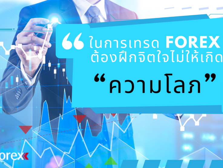 Busforex - รีวิวโบรกเกอร์ Forex เทคนิคการเทรดเบื้องต้น
