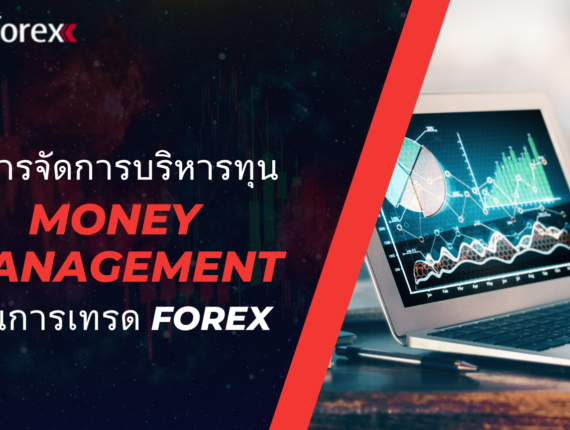 Busforex - รีวิวโบรกเกอร์ Forex เทคนิคการเทรดเบื้องต้น