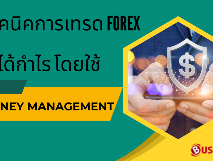 Busforex - รีวิวโบรกเกอร์ Forex เทคนิคการเทรดเบื้องต้น